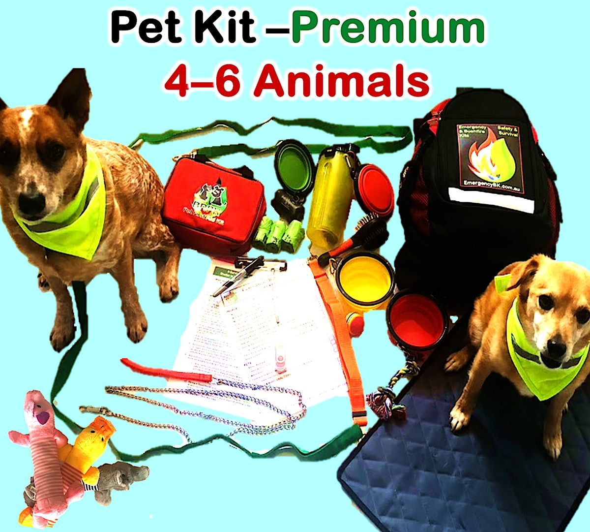 Pet Kit Premium 4-6 Animals (Pet Evacuation Kit)