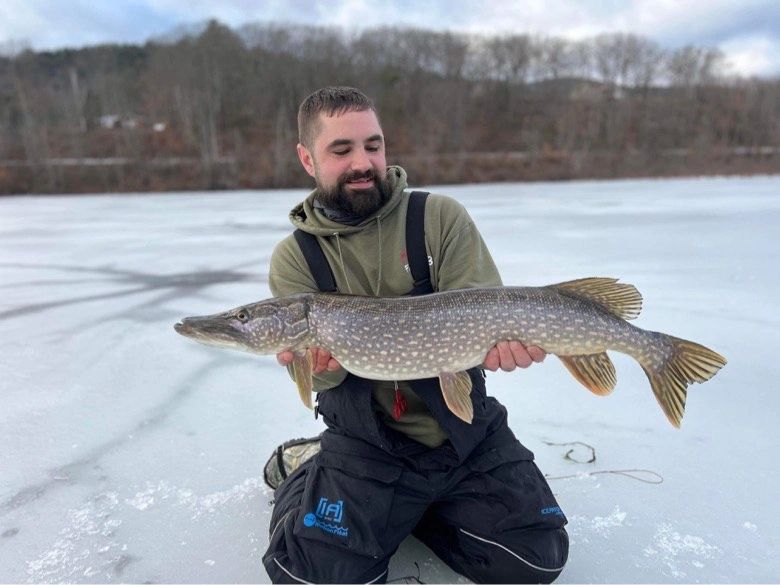 Forest City Traps vs "the rest" Redux