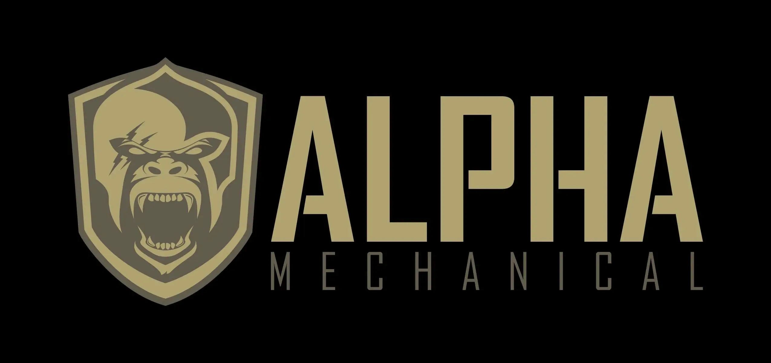 HOME [alphamcsolutions.com]