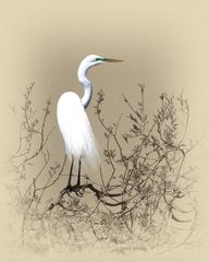 More Birds | I Spy Photography