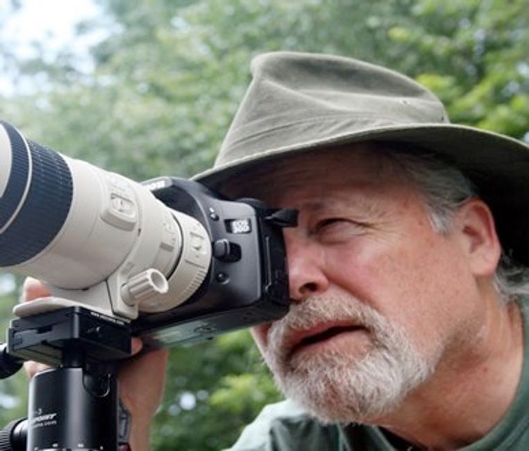 I Spy Photography - Photographer, Photography, Wildlife