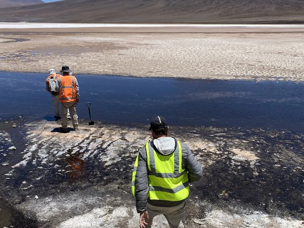 First Lithium Minerals Corp.