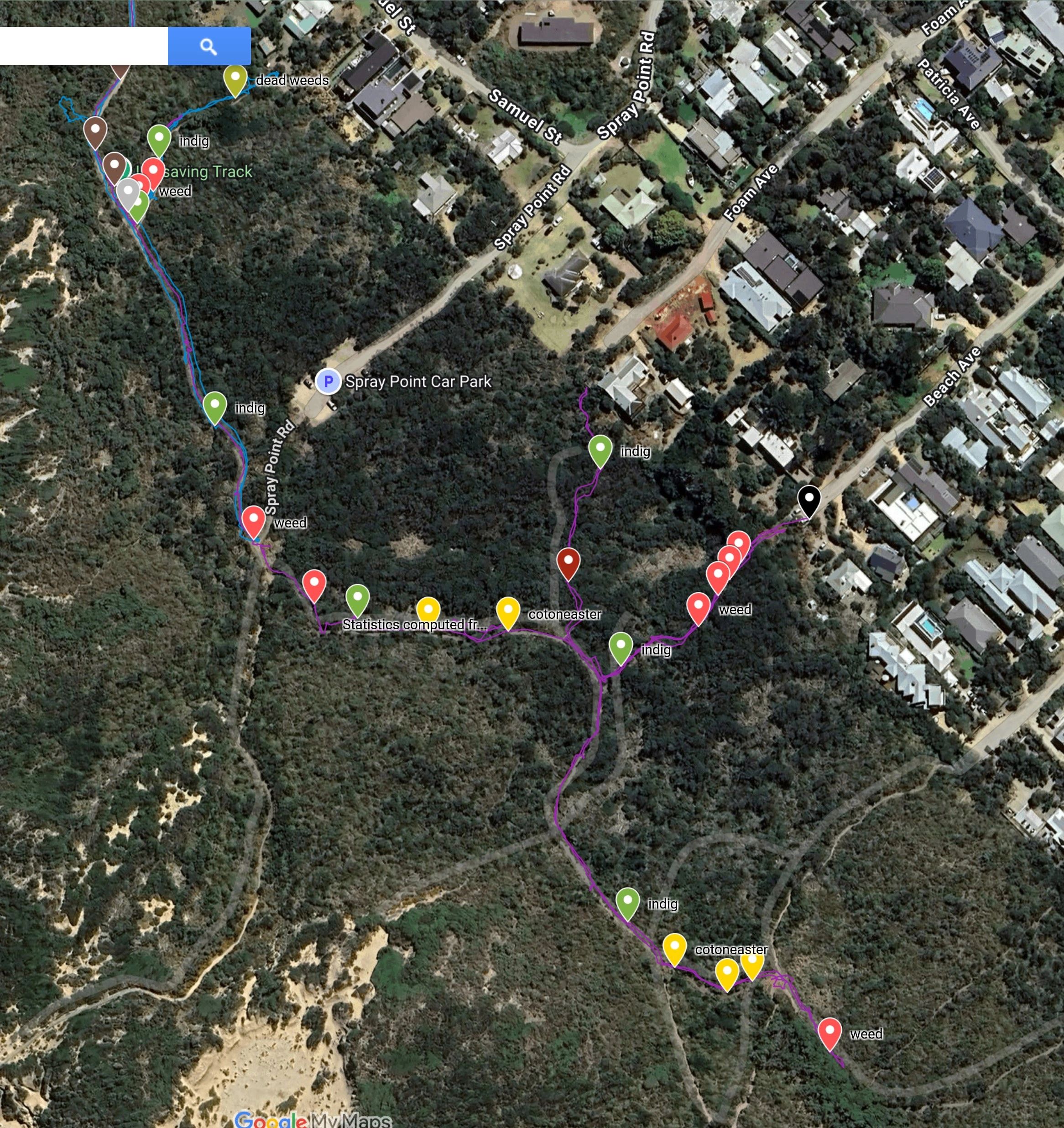 Winter Solstice Working Bee and Morning Tea on Sunday 29 June