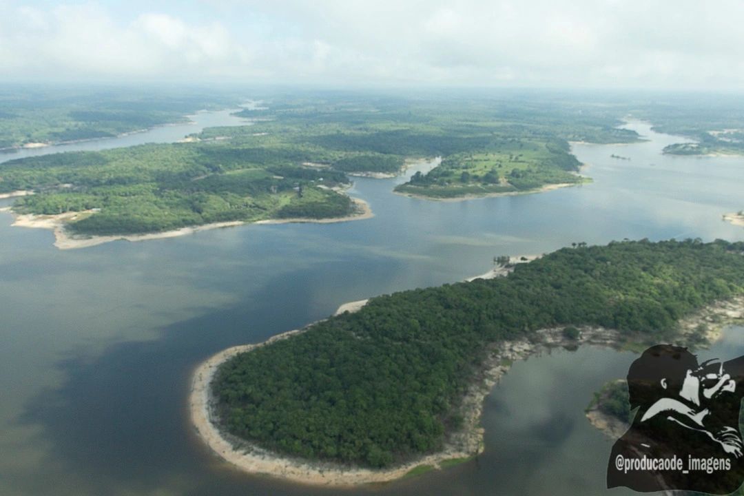 amazonforestguardians.com
