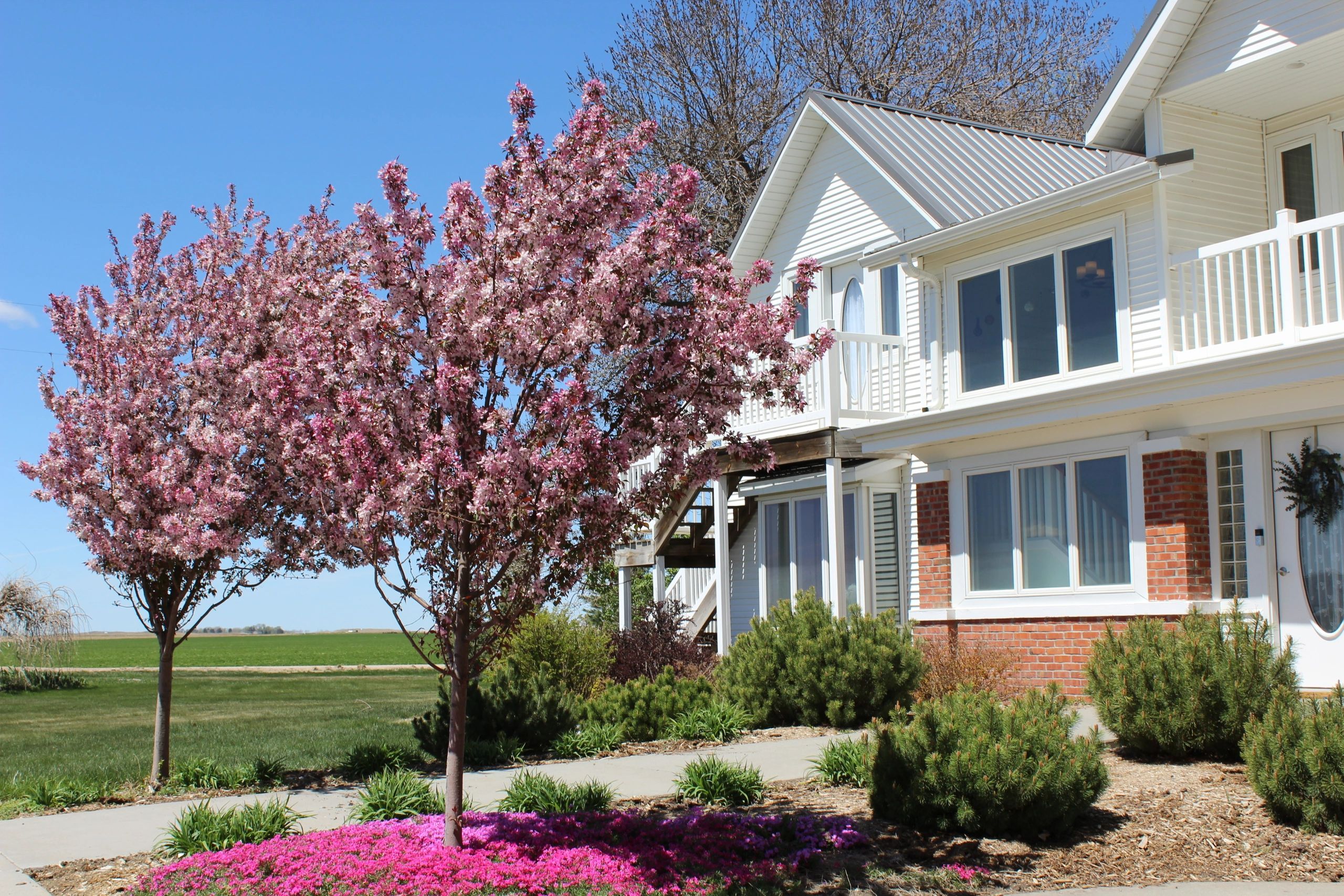 Experience the Charm of a Bed & Breakfast at Burchell's White Hill ...