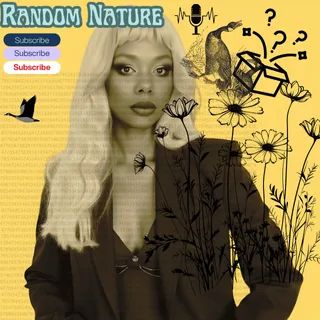 Explore the Random Nature Podcast Today!