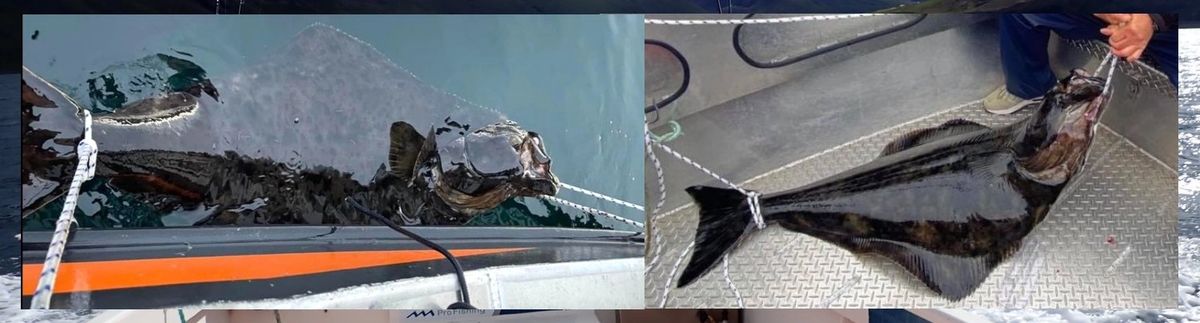 HALIBUT GAFFS TAIL LASSO'S BOAT GAFFS AND BONKERS