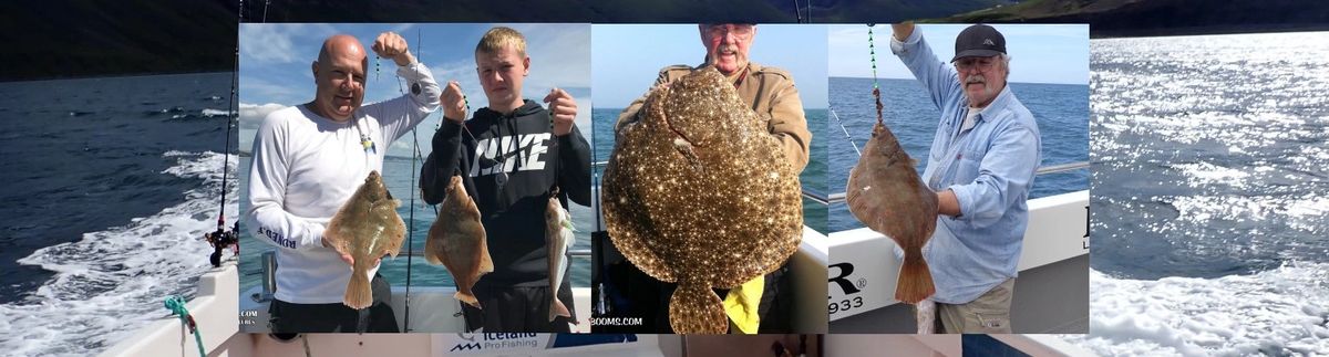 PLAICE BRILL AND TURBOT RIGS