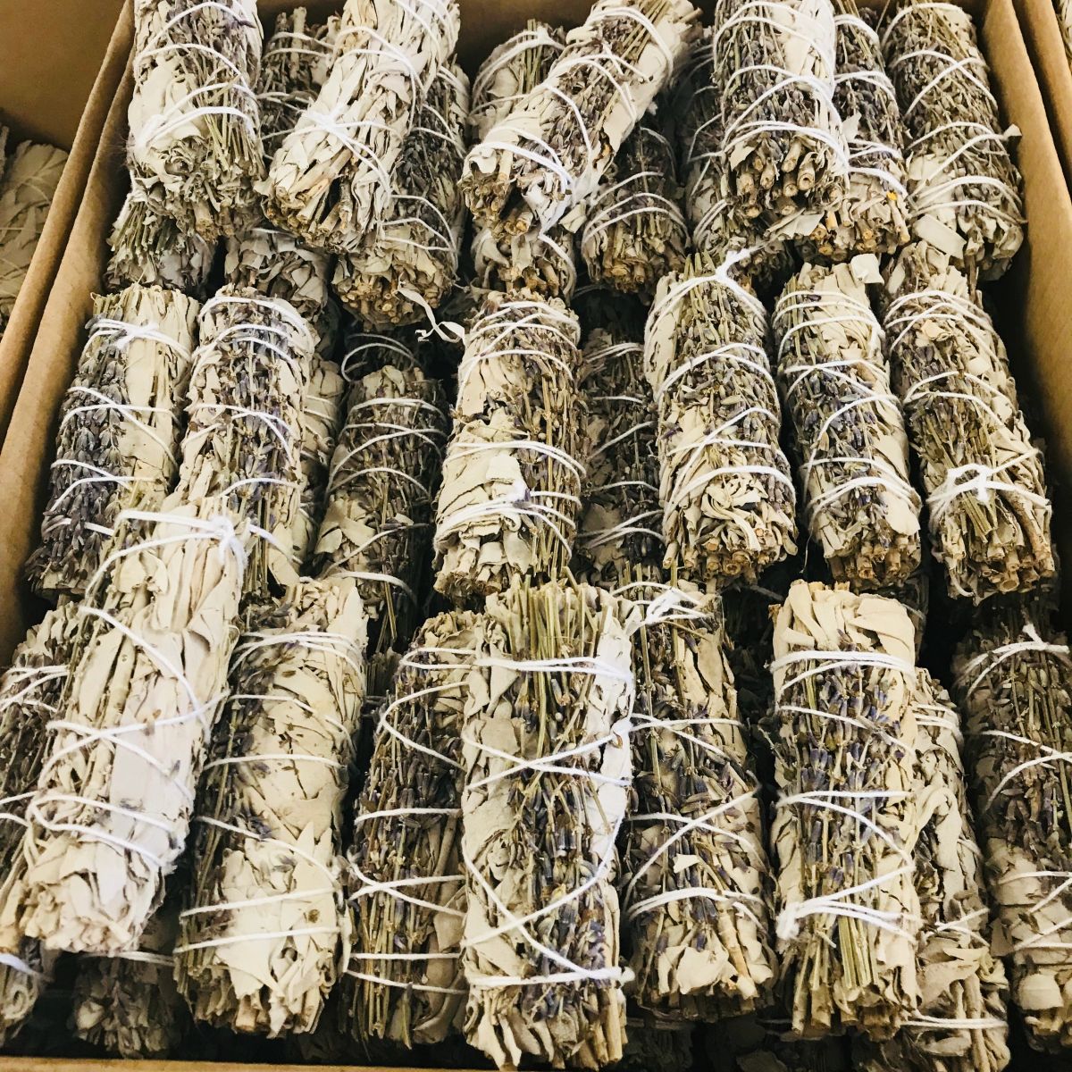Wholesale Lavender + White Sage 4 Inch (12 Pieces)