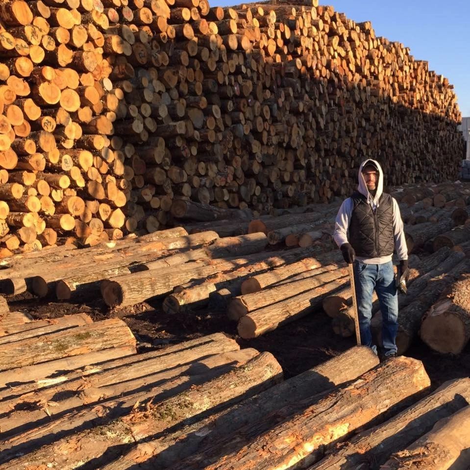 JF Caron Log Buyer