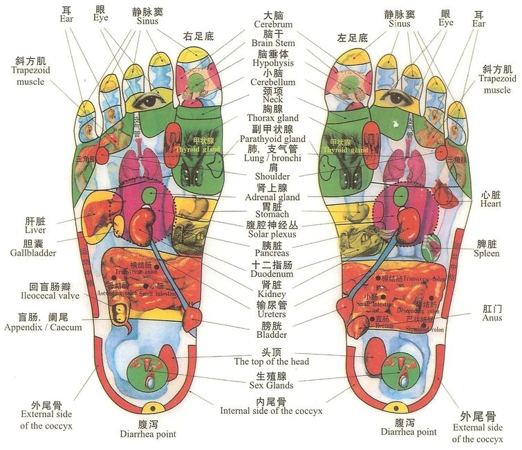 LI's Reflexology About Reflexology | Li's Reflexology
