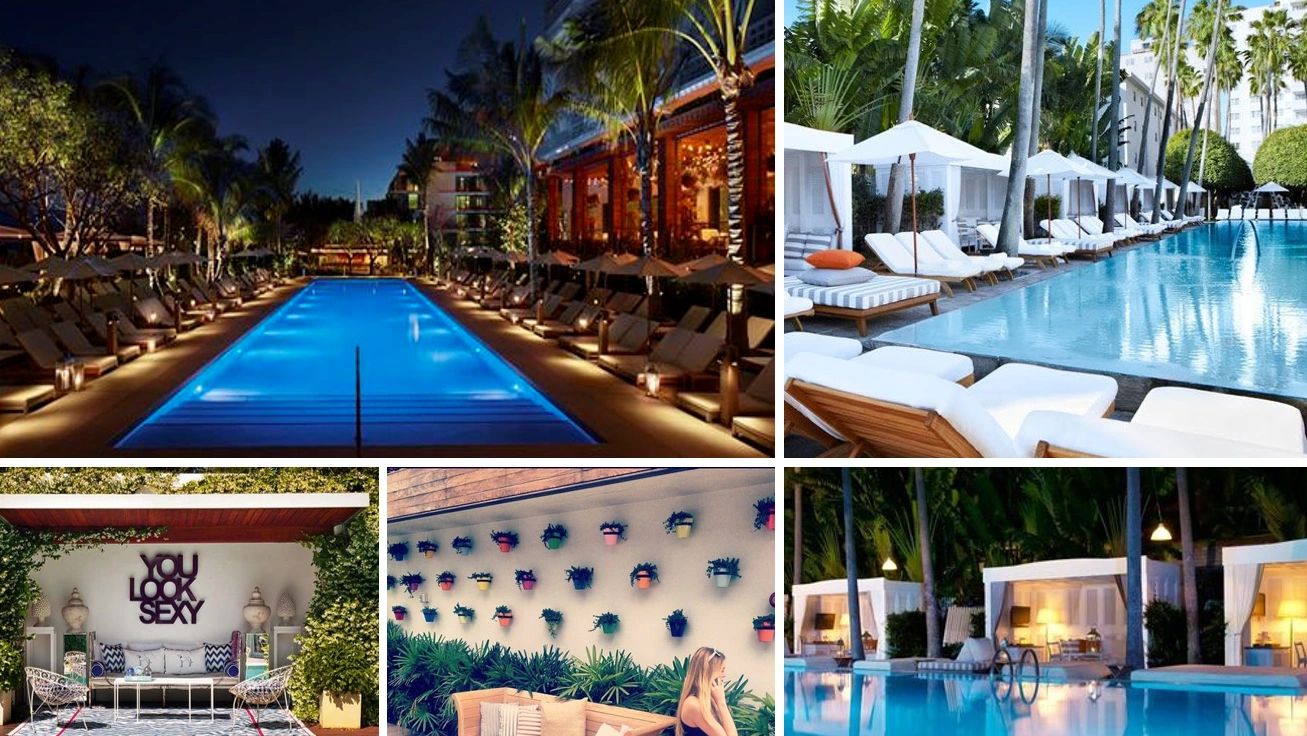 Project Update: Paradise Valley Resort