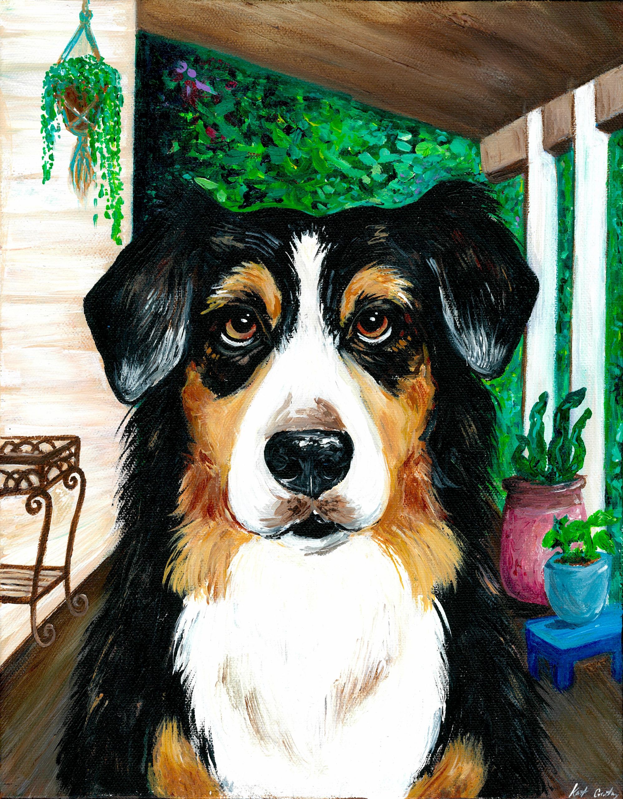 Kat Gentry Pet Portraits
