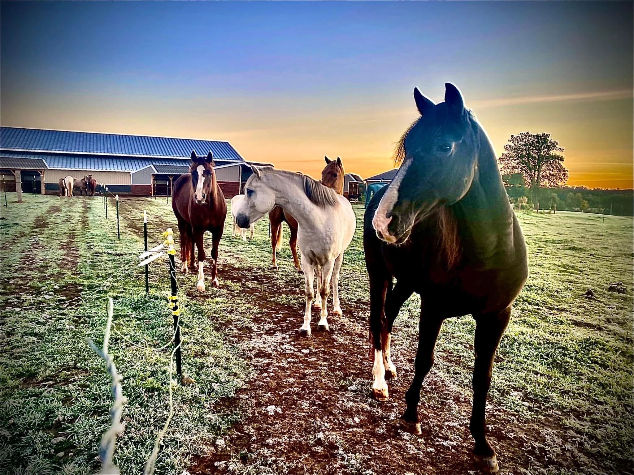 Transgender Support Group