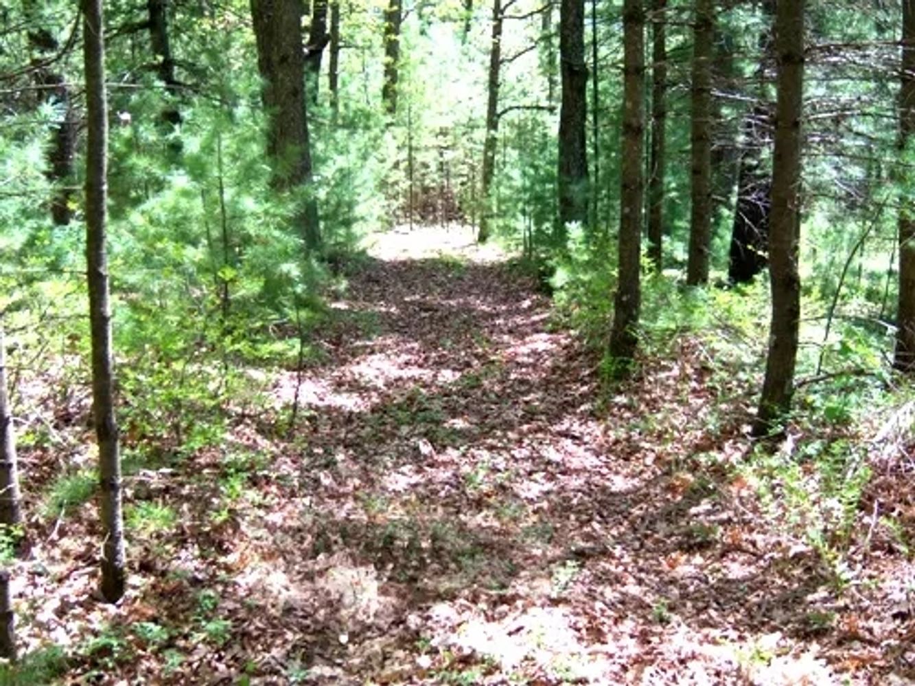 Homestead Nych Naturist Campground - Experience Nature at its Best