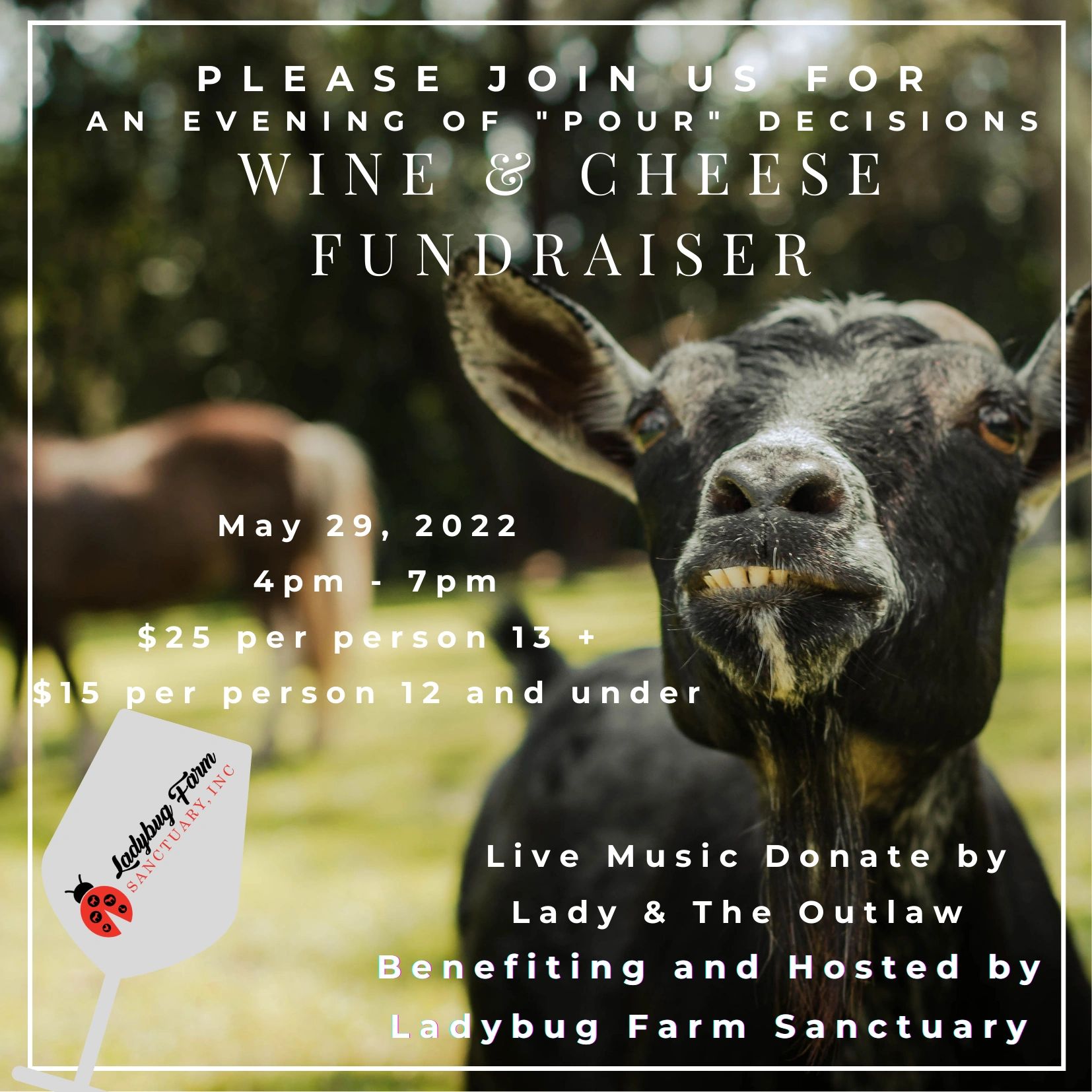 Charitable Organization - Ladybug Farm Sanctuary