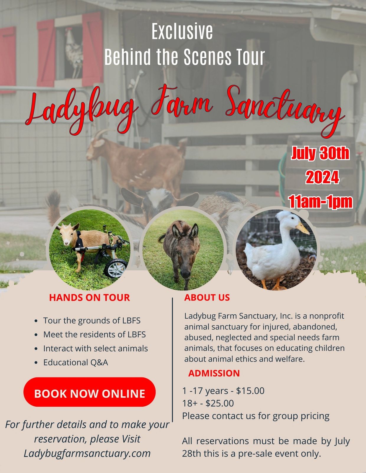 Charitable Organization - Ladybug Farm Sanctuary