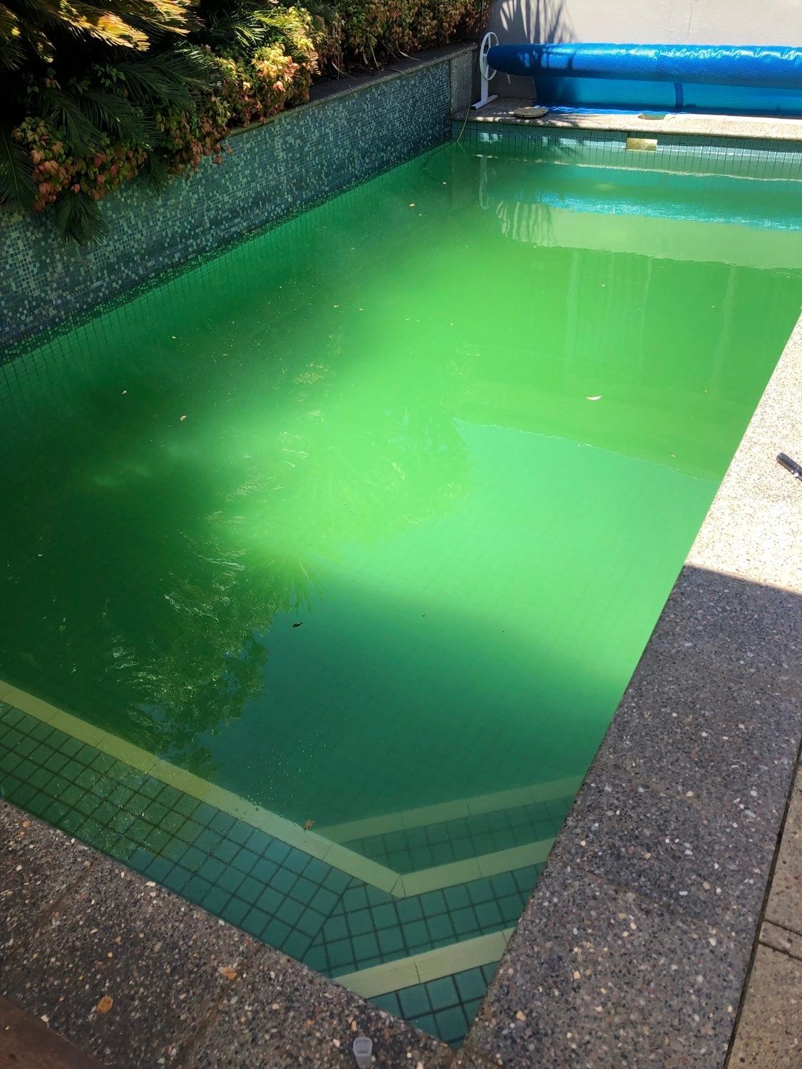 GREEN POOL RECOVERY (LIGHT GREEN)