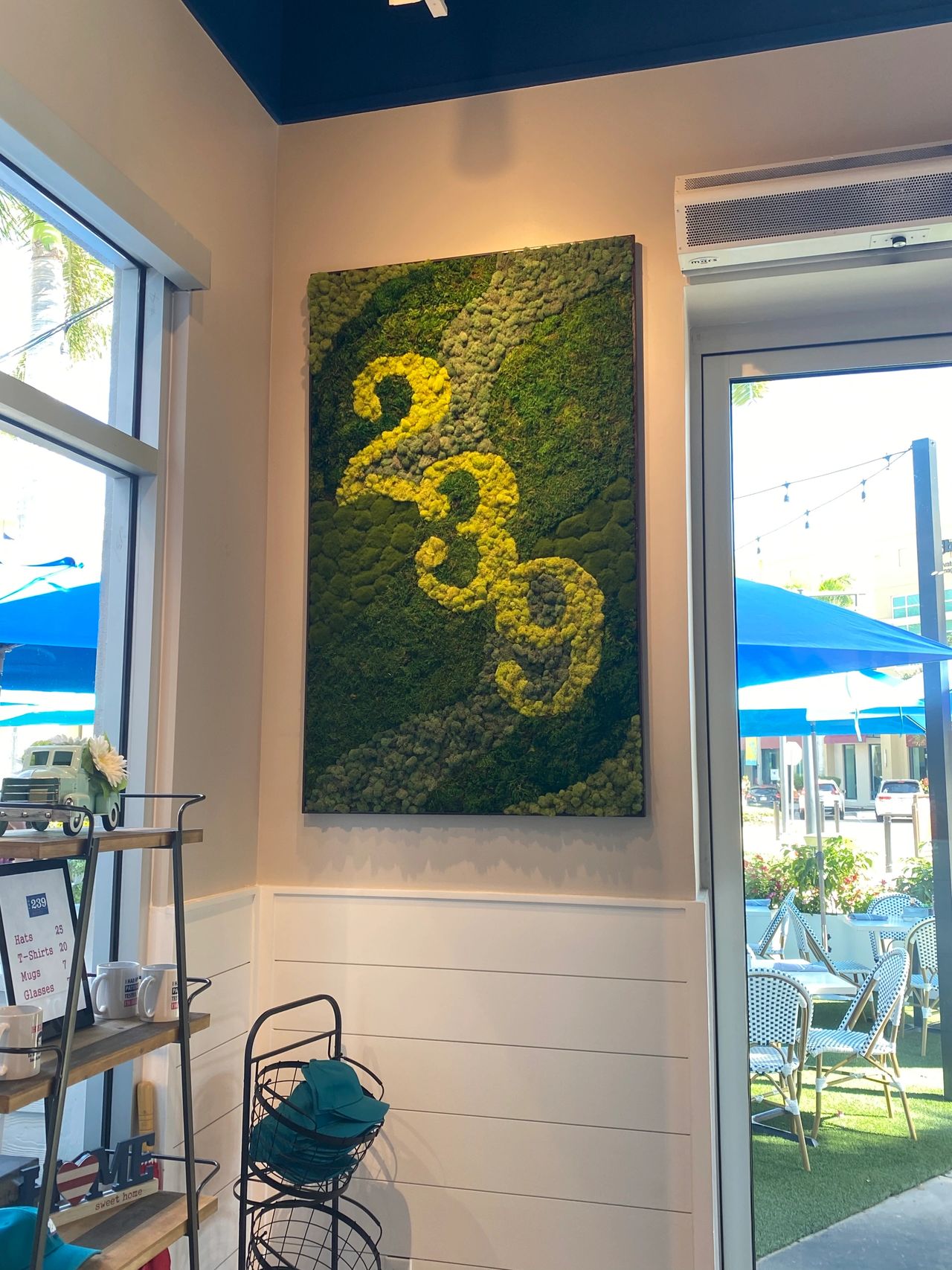 239 Naples Florida