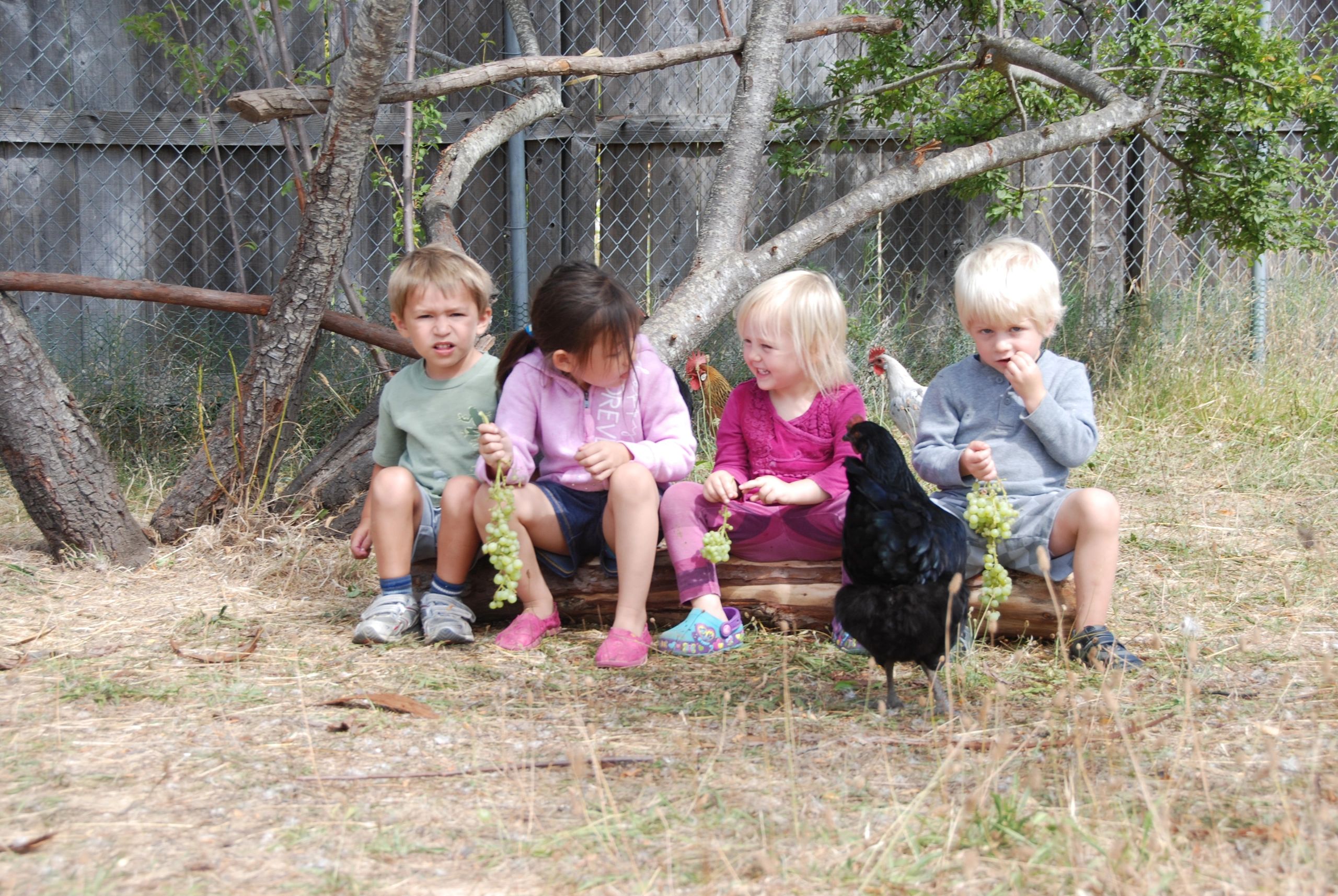 Child Family Community inc