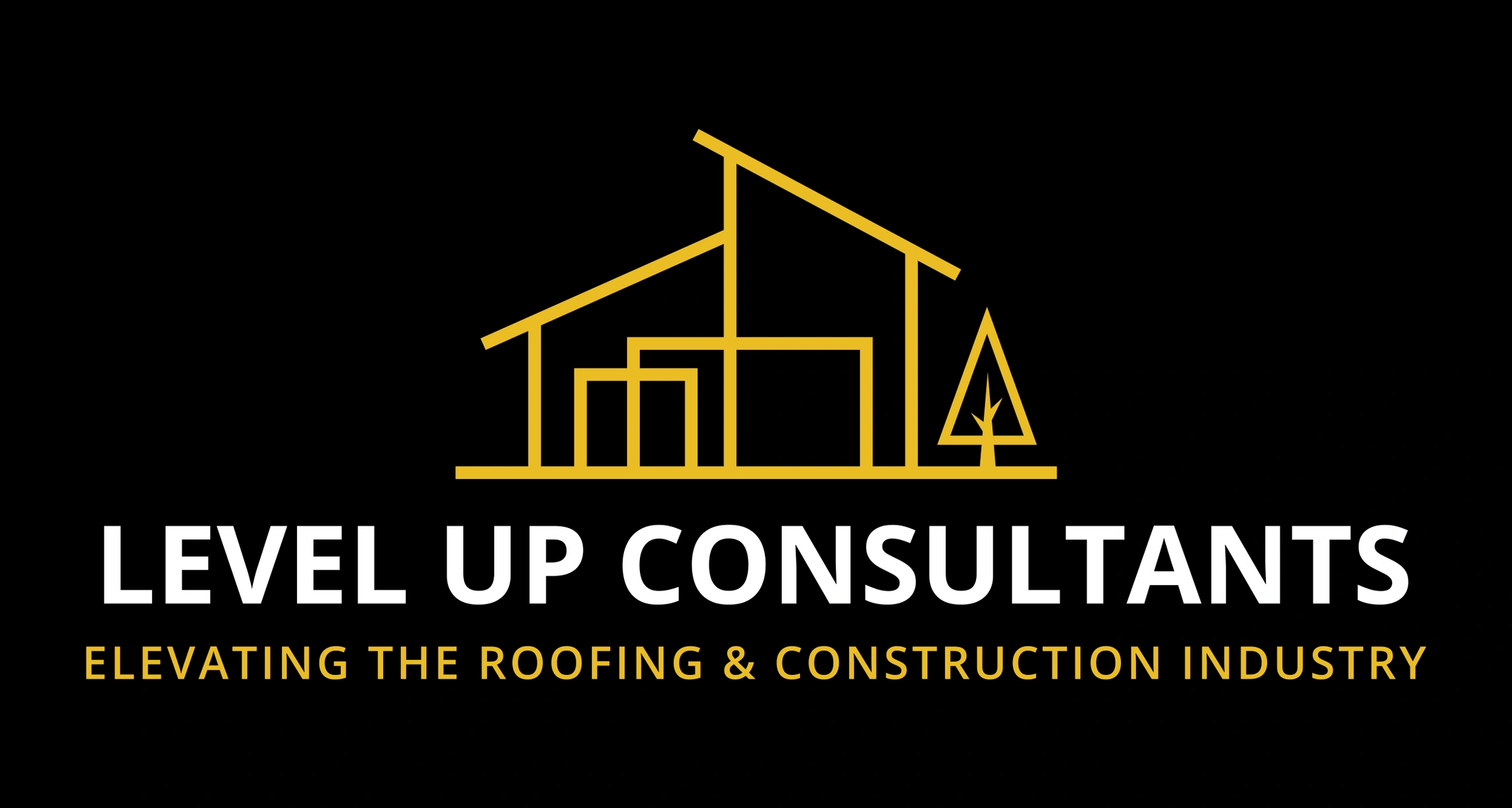 HOME [levelup-consultants.com]