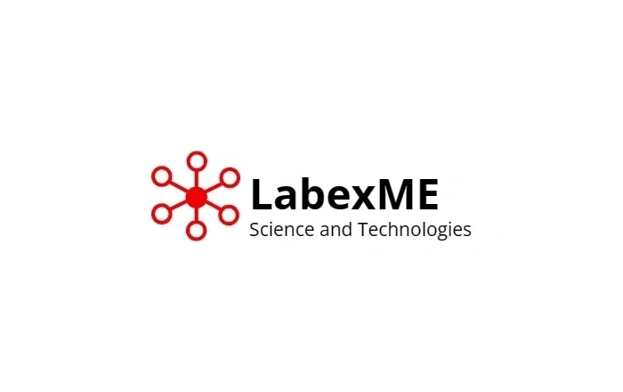 Labex Middle East