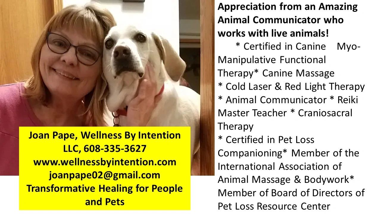 Appreciation from a talented Animal Communicator