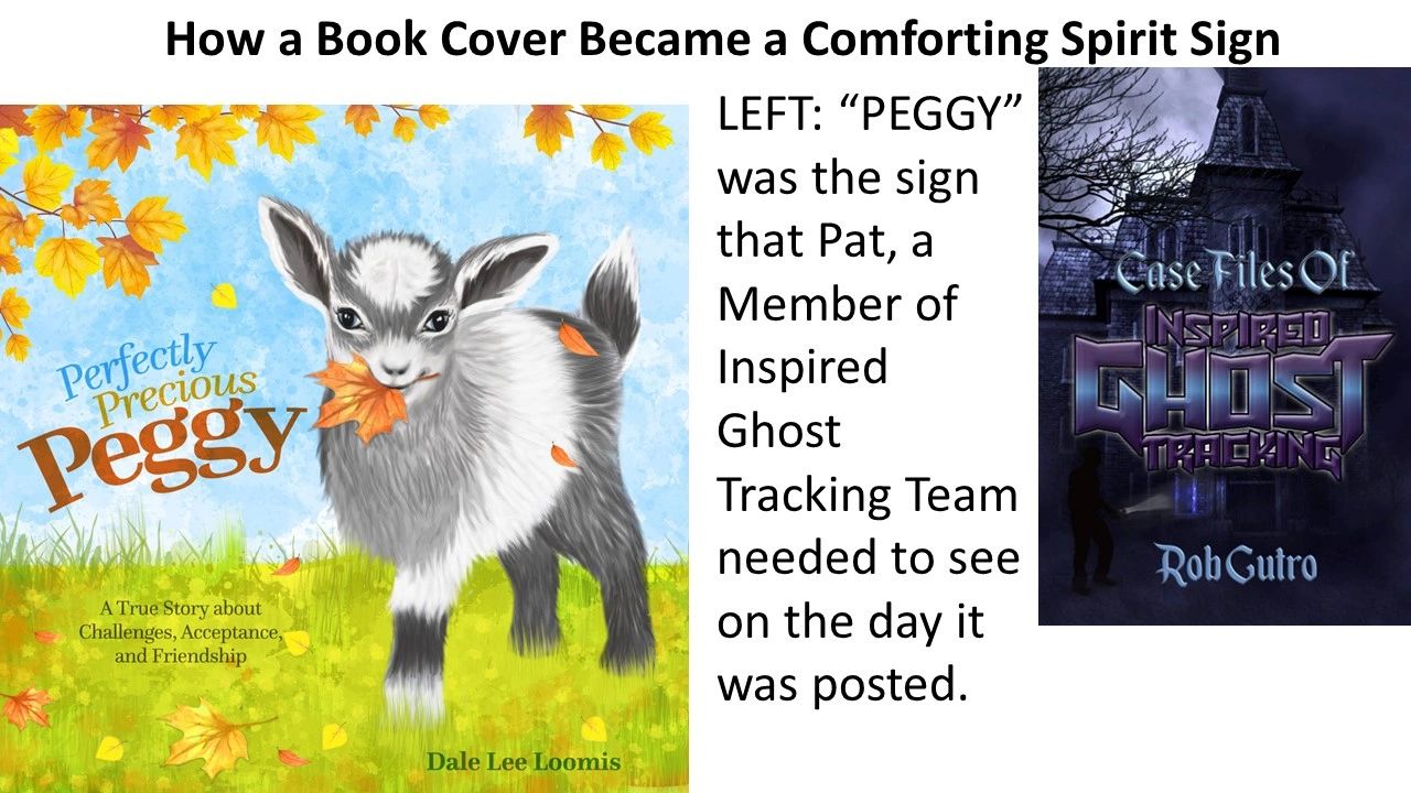 How a Book Cover Became a Comforting Spirit Sign