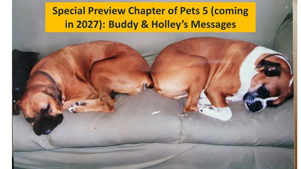 Special Preview Chapter of Pets 5: Buddy & Holley’s Messages