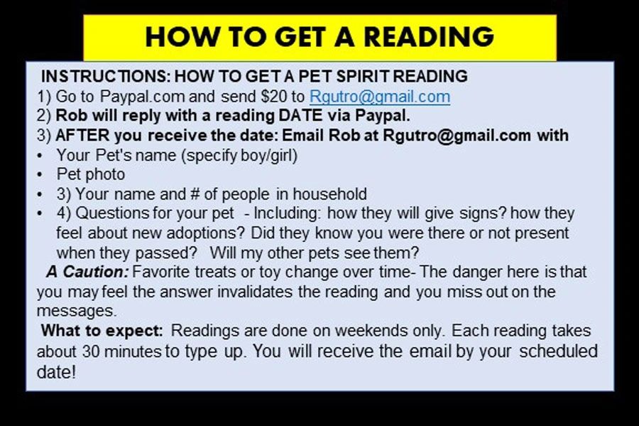 Q&A: "How accurate is a spirit reading"