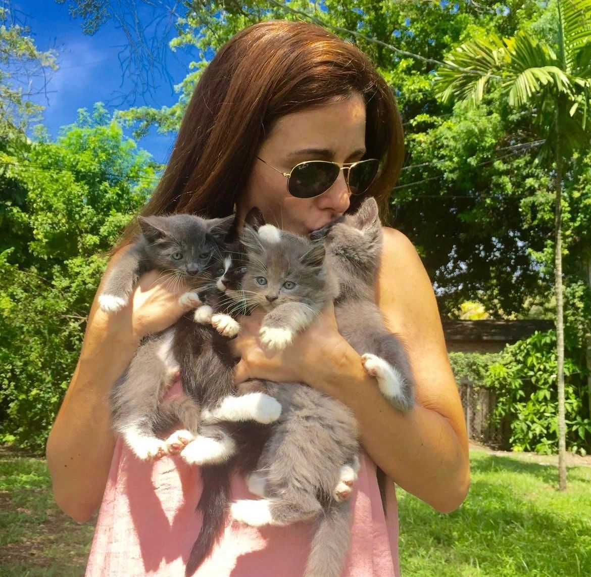 Cat Adoption Application | About the Animals Cat Adoption Application | About the Animals