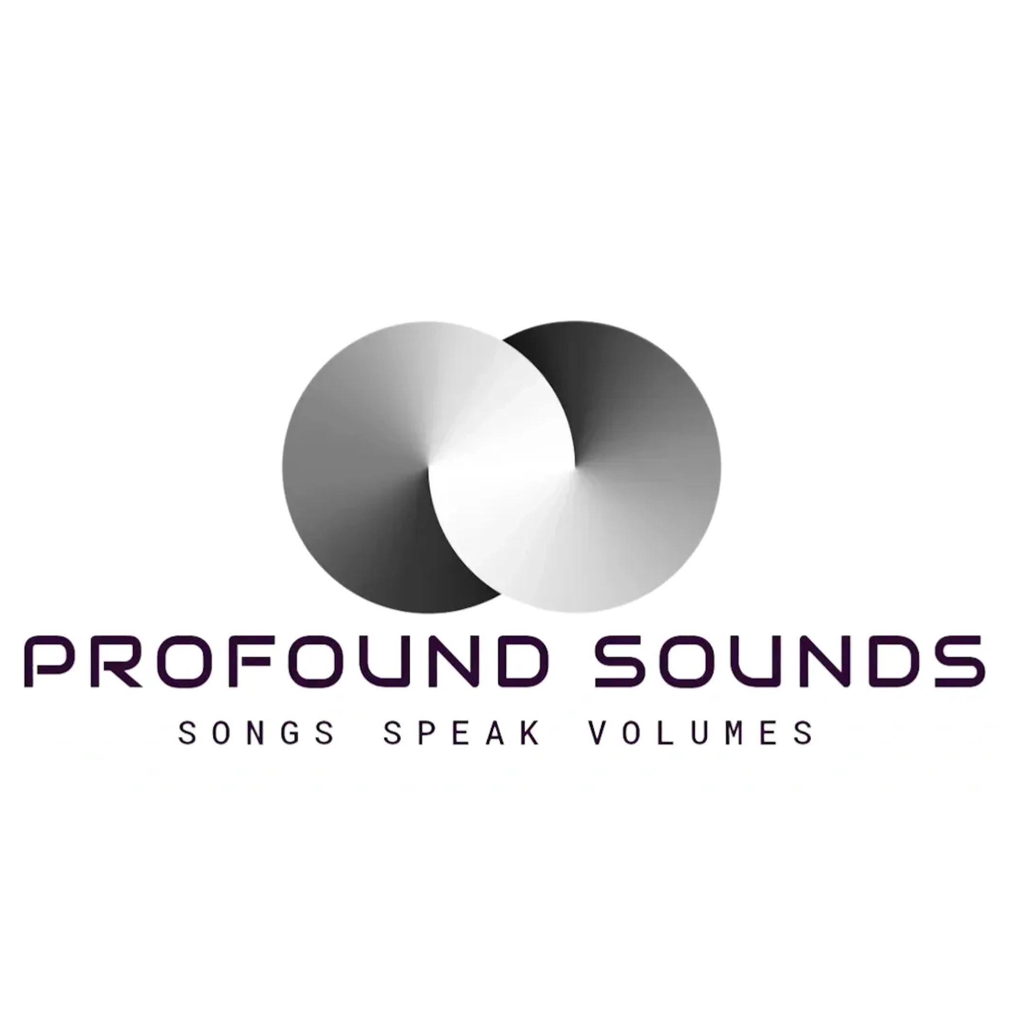 Profound Sounds DJ - Wedding DJ's in Austin, Texas