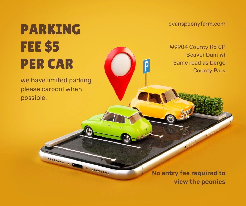 Parking Fee Payment