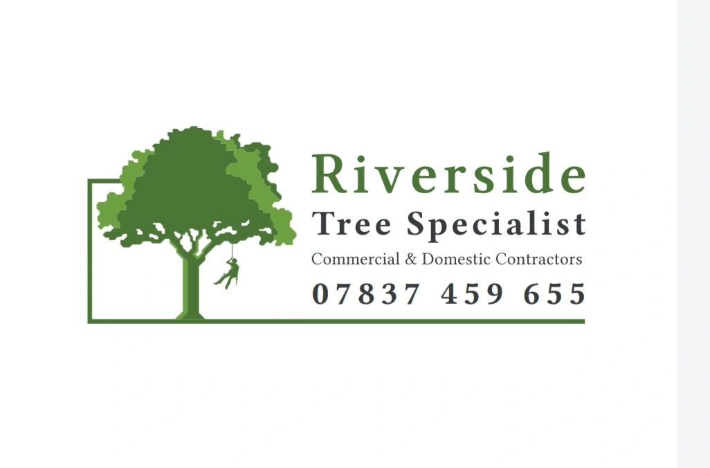 Riverside Tree Specialist