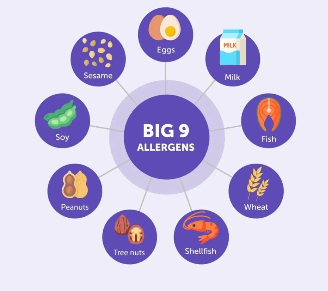 Top 9 Food Allergens