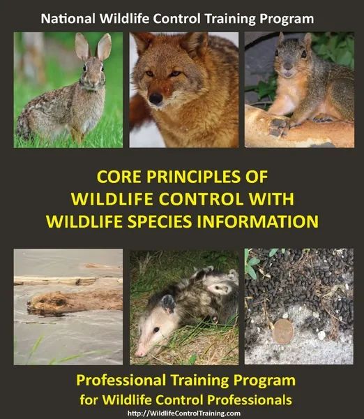 Core Principles of Wildlife Control with Wildlife Species Information