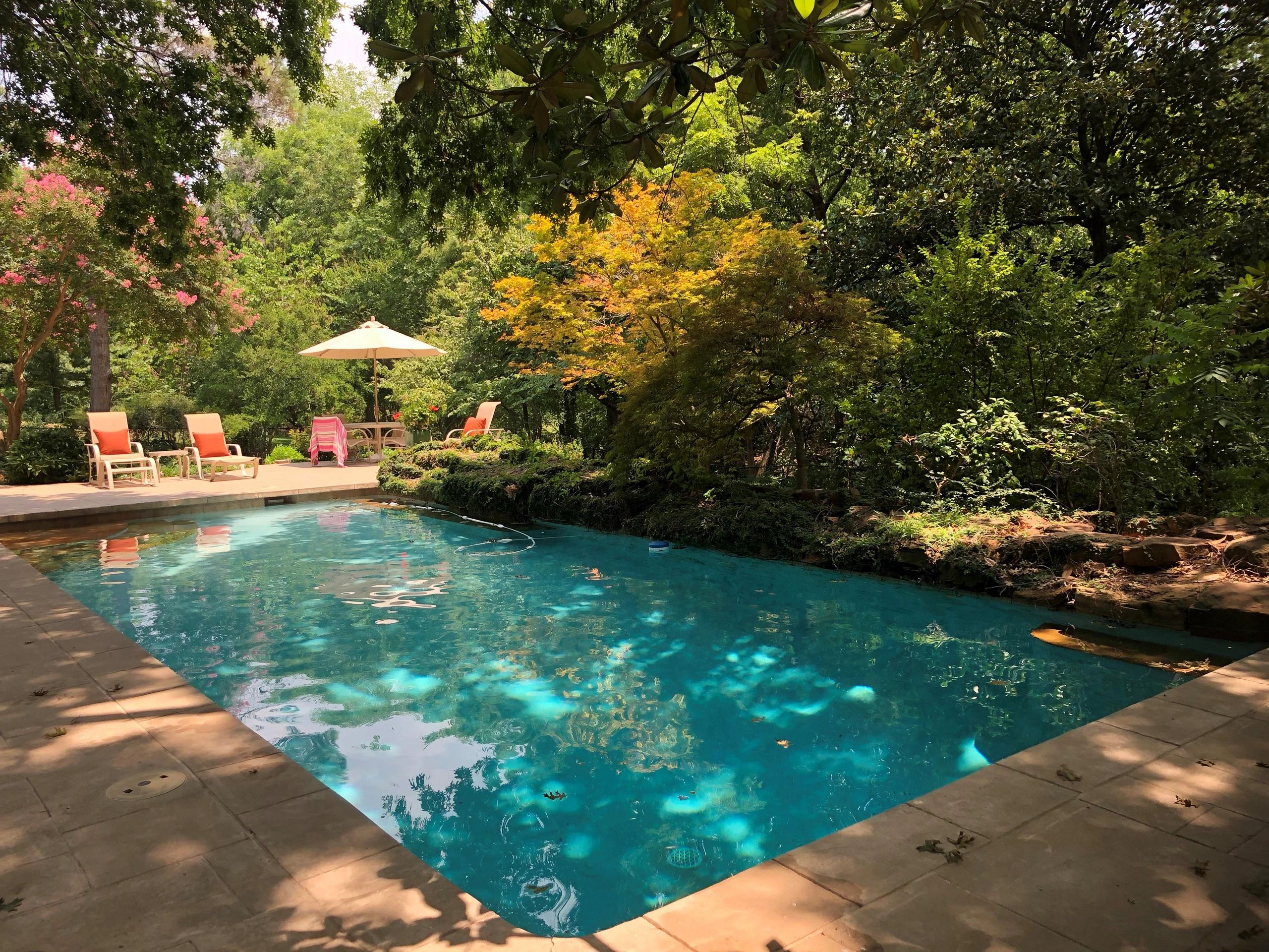 Pool Cleaning in Dallas - The Dirty Pool Company