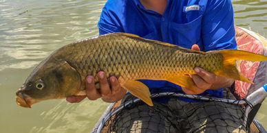 East Alabama Fly Fishing