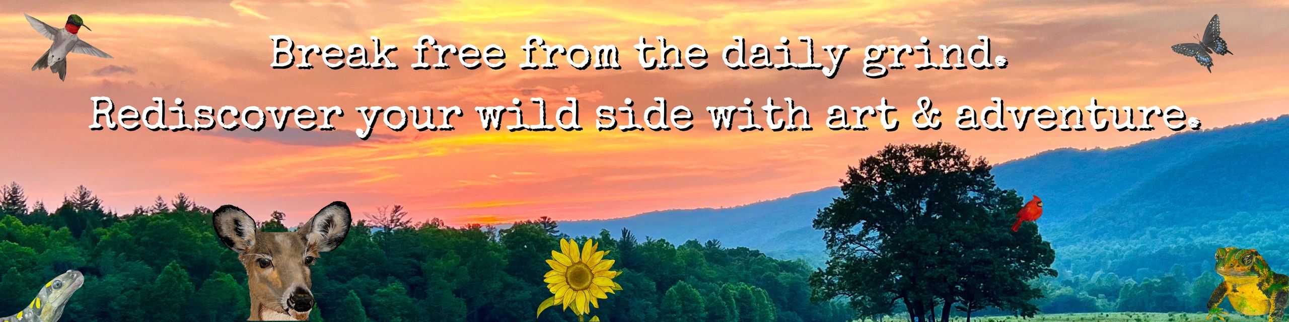 Wild Developments Studio