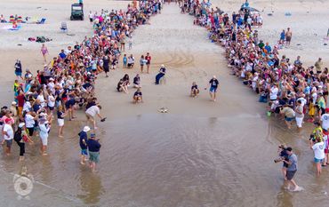 Wild Developments Studio