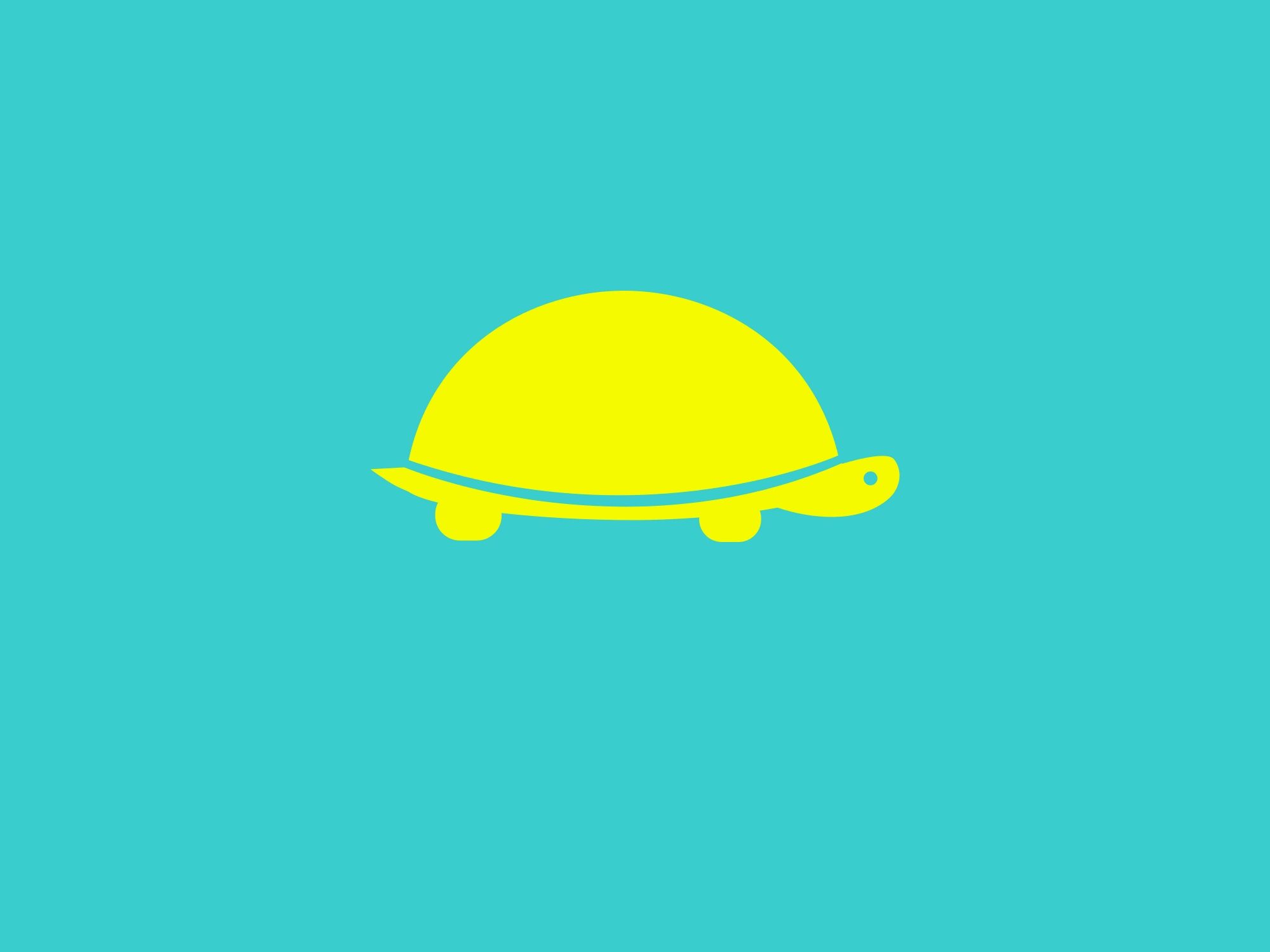 thelemonturtle.com