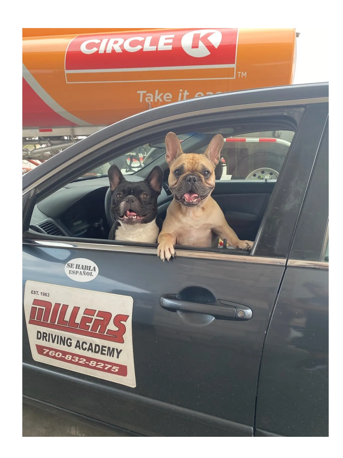 Classes We Offer & Prices