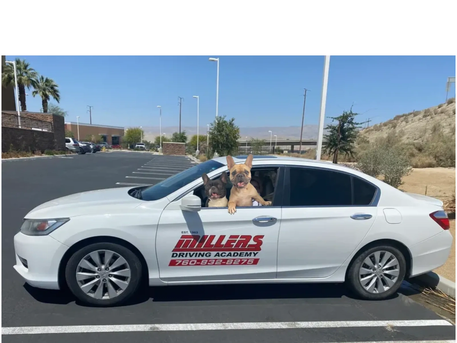 Classes We Offer & Prices