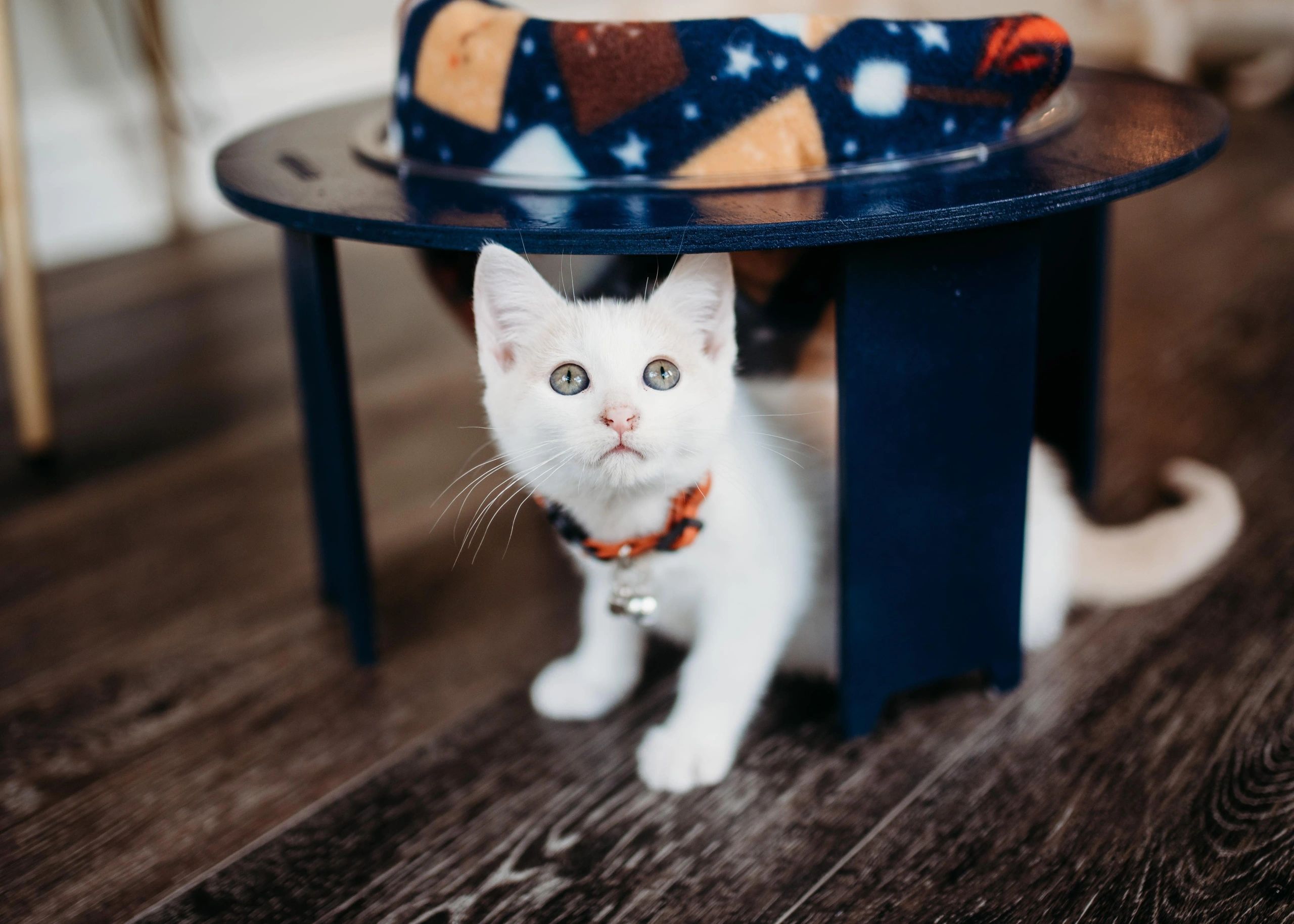 What is FIP and what do we do?!