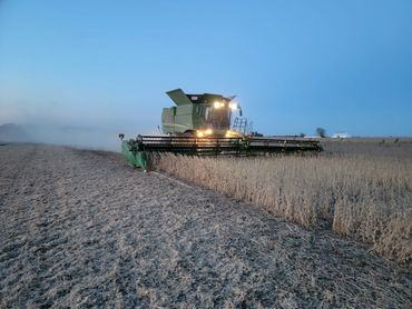 Gallery | Border View Farms