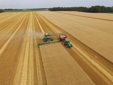 Gallery | Border View Farms