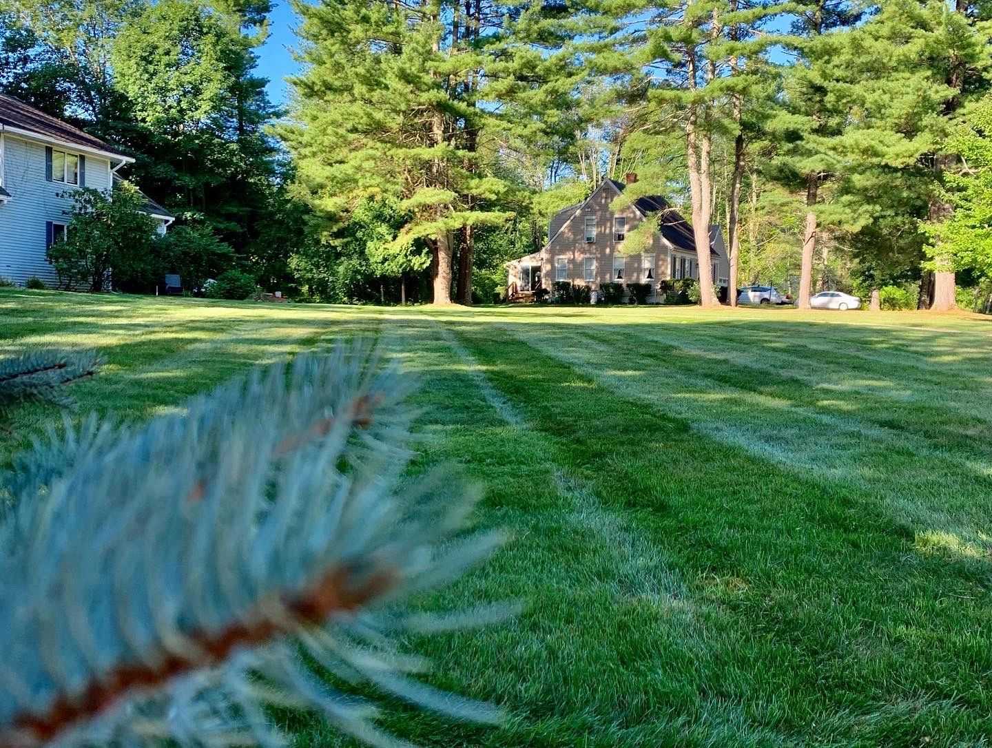 Garden and Lawn Maintenance - Eco Landscaping LLC