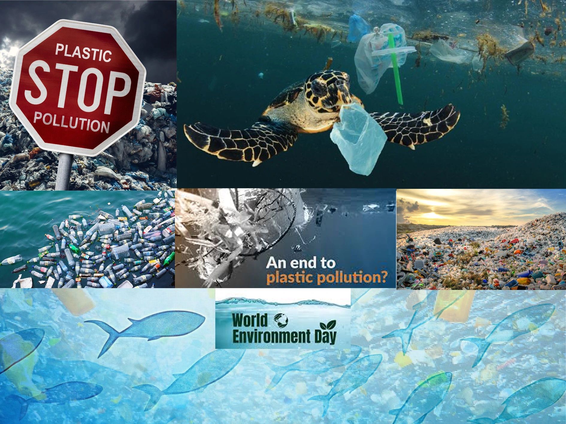 "Putting an End to Plastic Pollution"- A voice to save 70% Earth