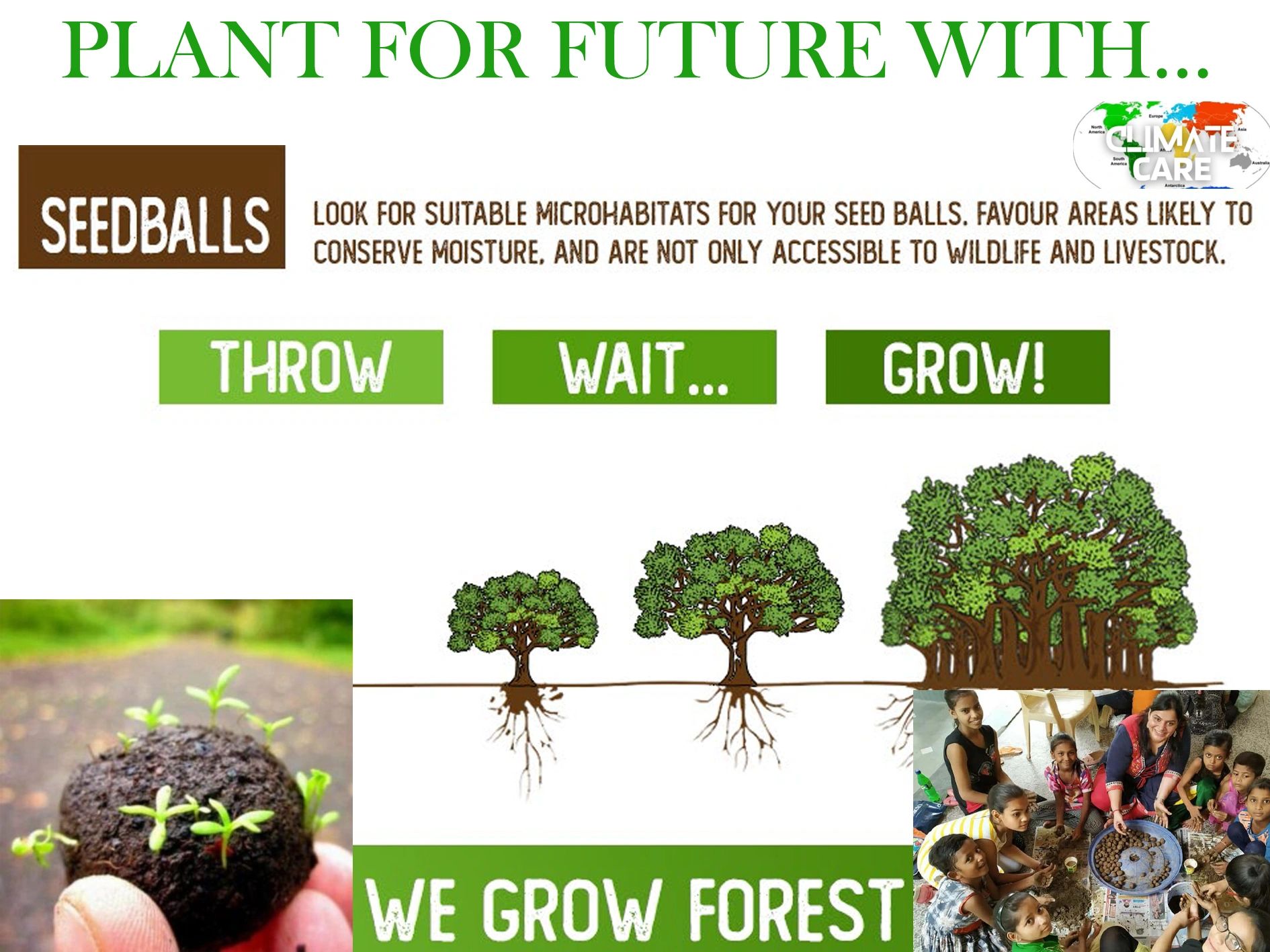SEED BALLS: A survival strategy for save green at the World