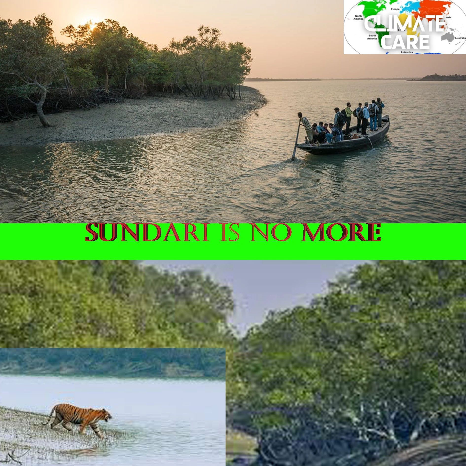 Where is the Sundari Trees? How to save India- Bangladesh?